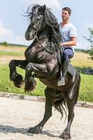 Divoké kone | OSOBNOSTI.cz